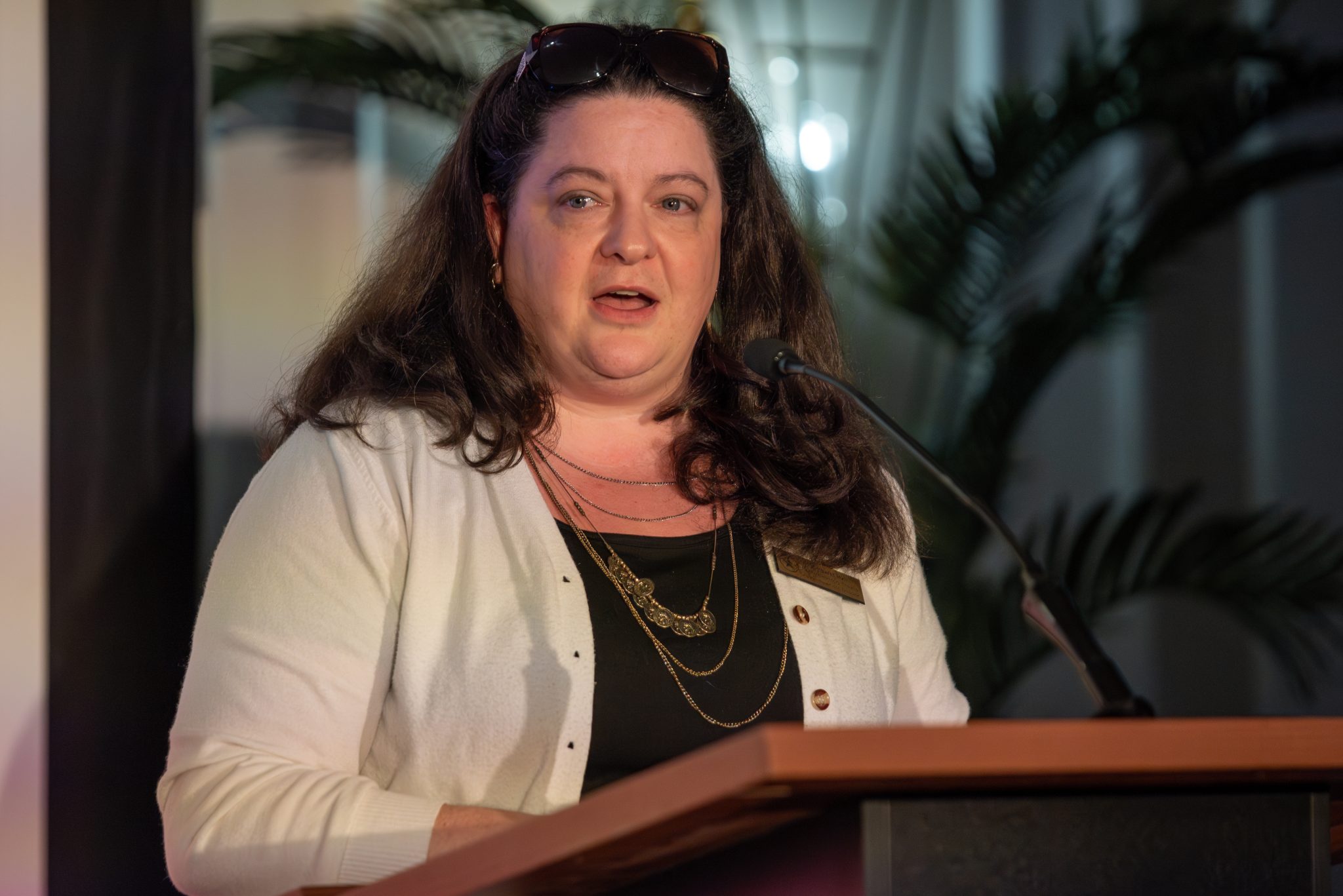 maggie-up-in-lights-2025_131jpg_54796699164_o - Proctors Insider